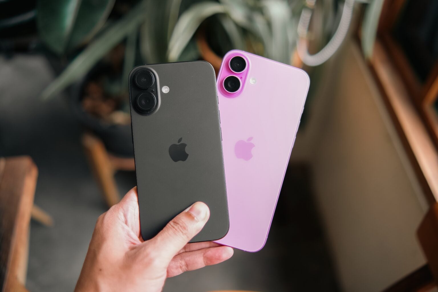 iPhone 16 Colours 🎨 Which One Should You Buy?